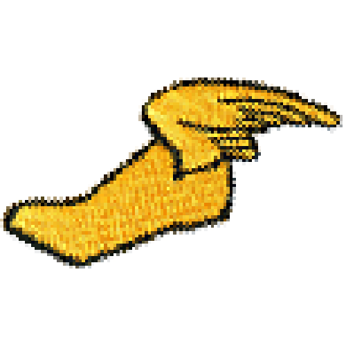 Gold Shoe Award Patch | Track Award for Kids | Hurrah Awards